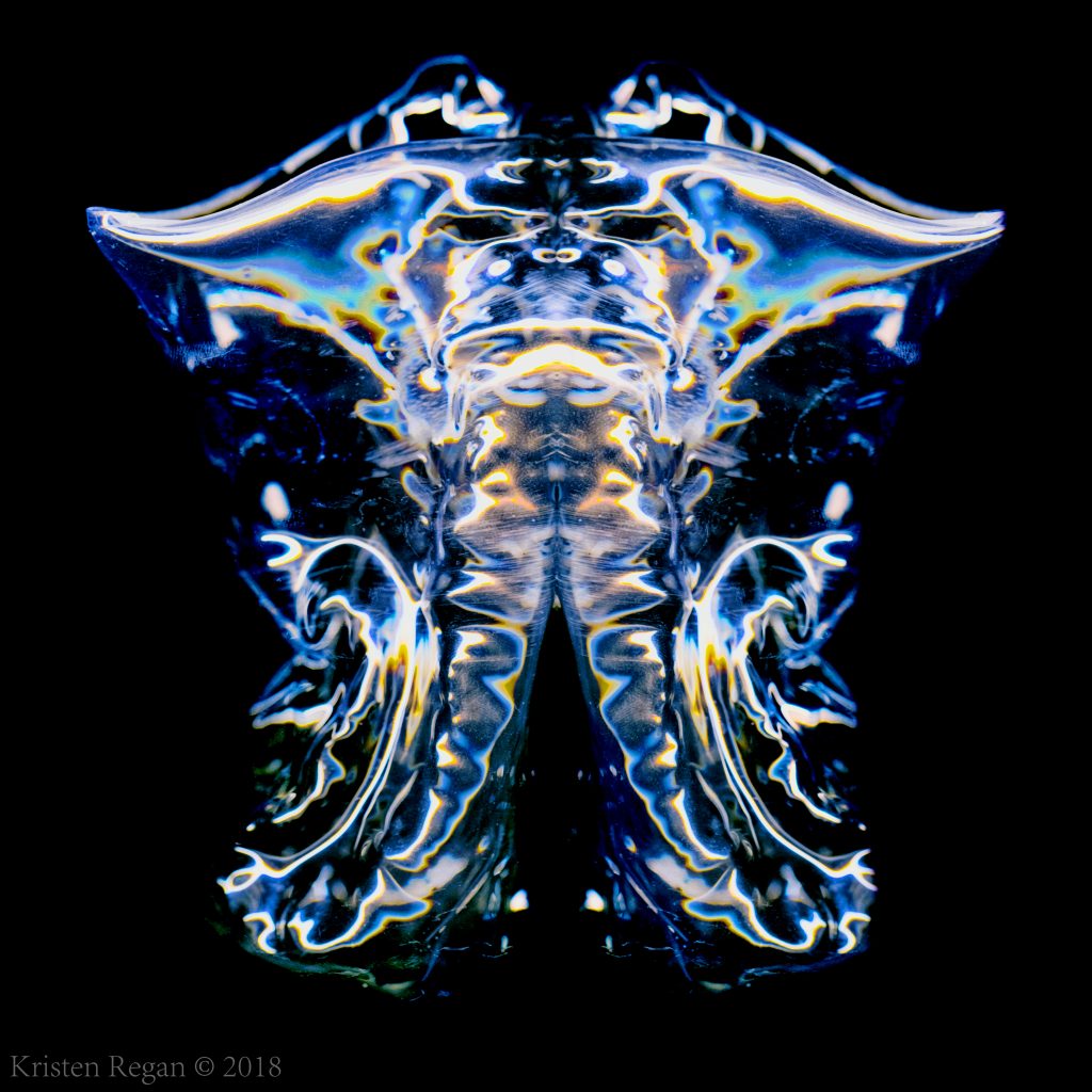 Plastisphere – Profile of an Artist with a Mission | Scuba & H2O Adventures